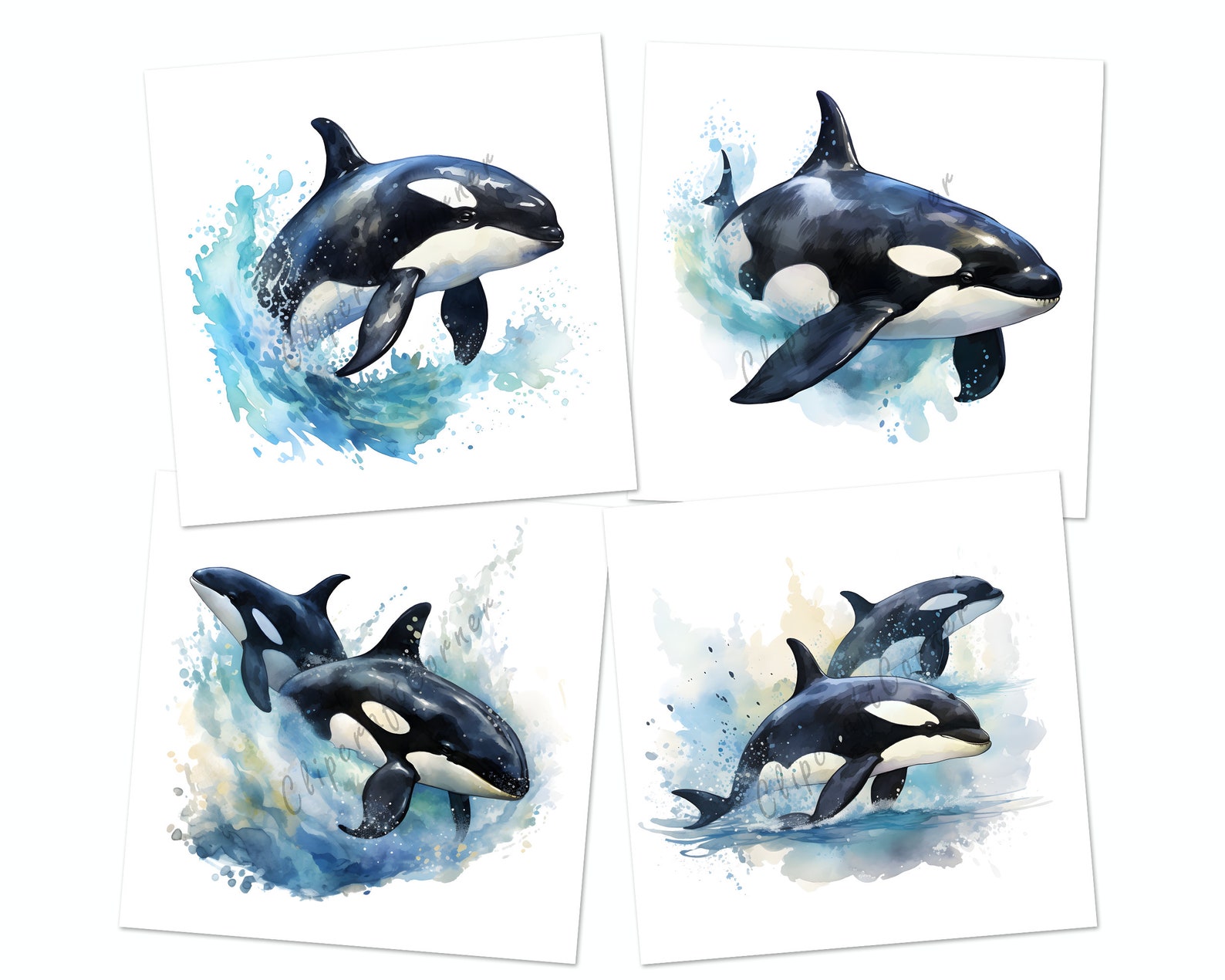 12 Orca Clipart PNG Bundle | Watercolor Sea Animals Clipart PNG | Ocean ...