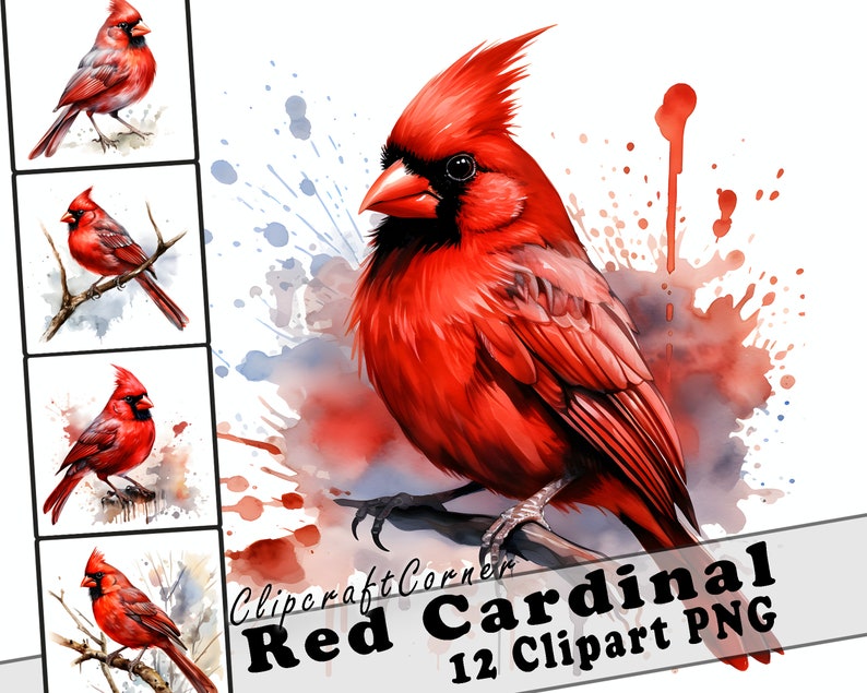 12 Red Cardinal Clipart PNG Art Bundle | Watercolor Bird Clipart PNG ...