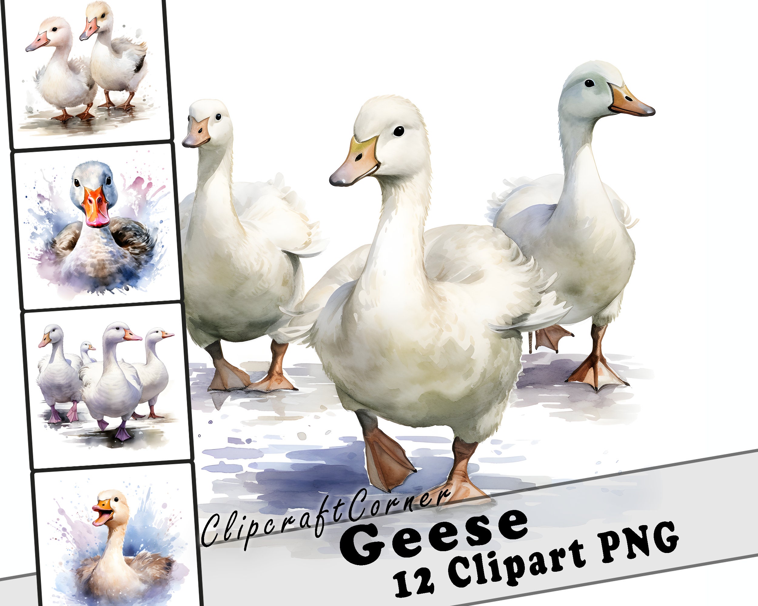 12 Goose Clipart PNG Bundle | Watercolor Goose Clipart PNG | Farm ...