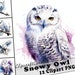 12 Snowy Owl Clipart PNG Art Bundle | Watercolor Bird Clipart PNG ...