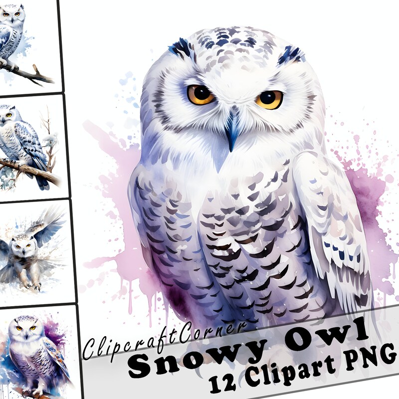 Snowy Owl Clipart - Etsy