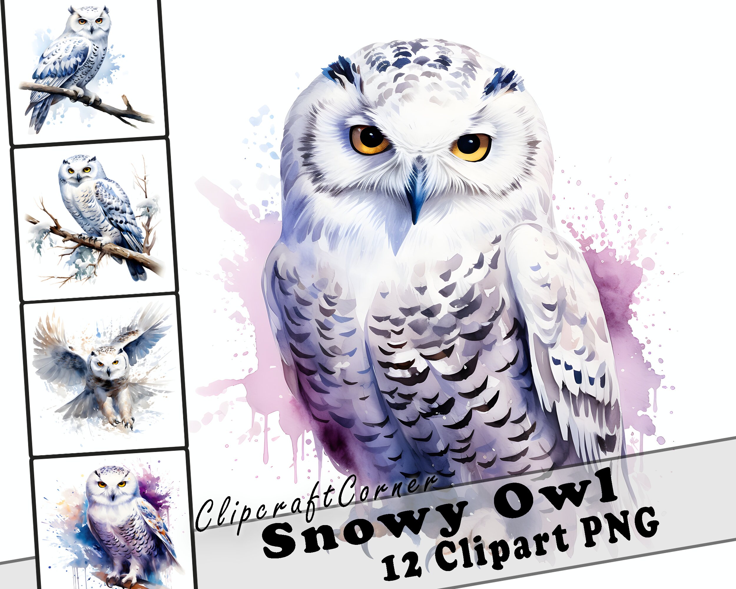 12 Snowy Owl Clipart PNG Art Bundle | Watercolor Bird Clipart PNG ...