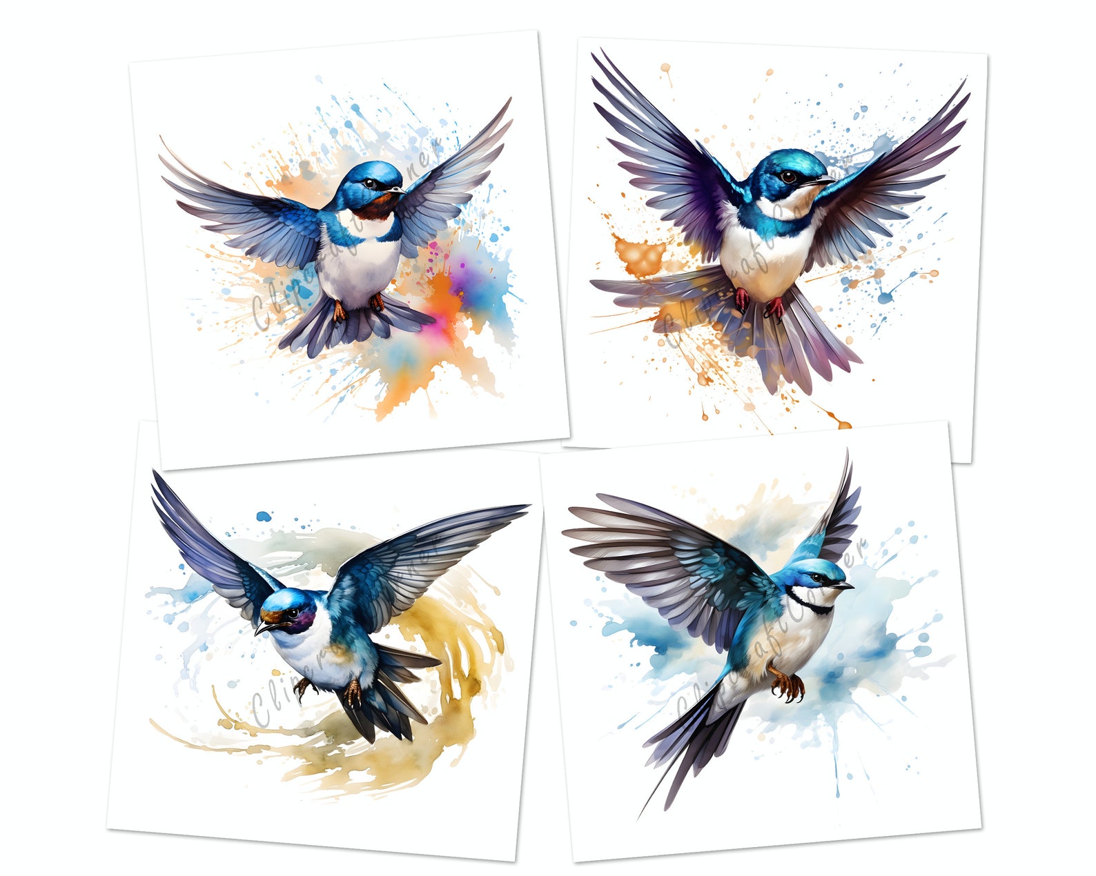 12 Tree Swallow Clipart PNG Art Bundle | Watercolor Bird Clipart PNG ...