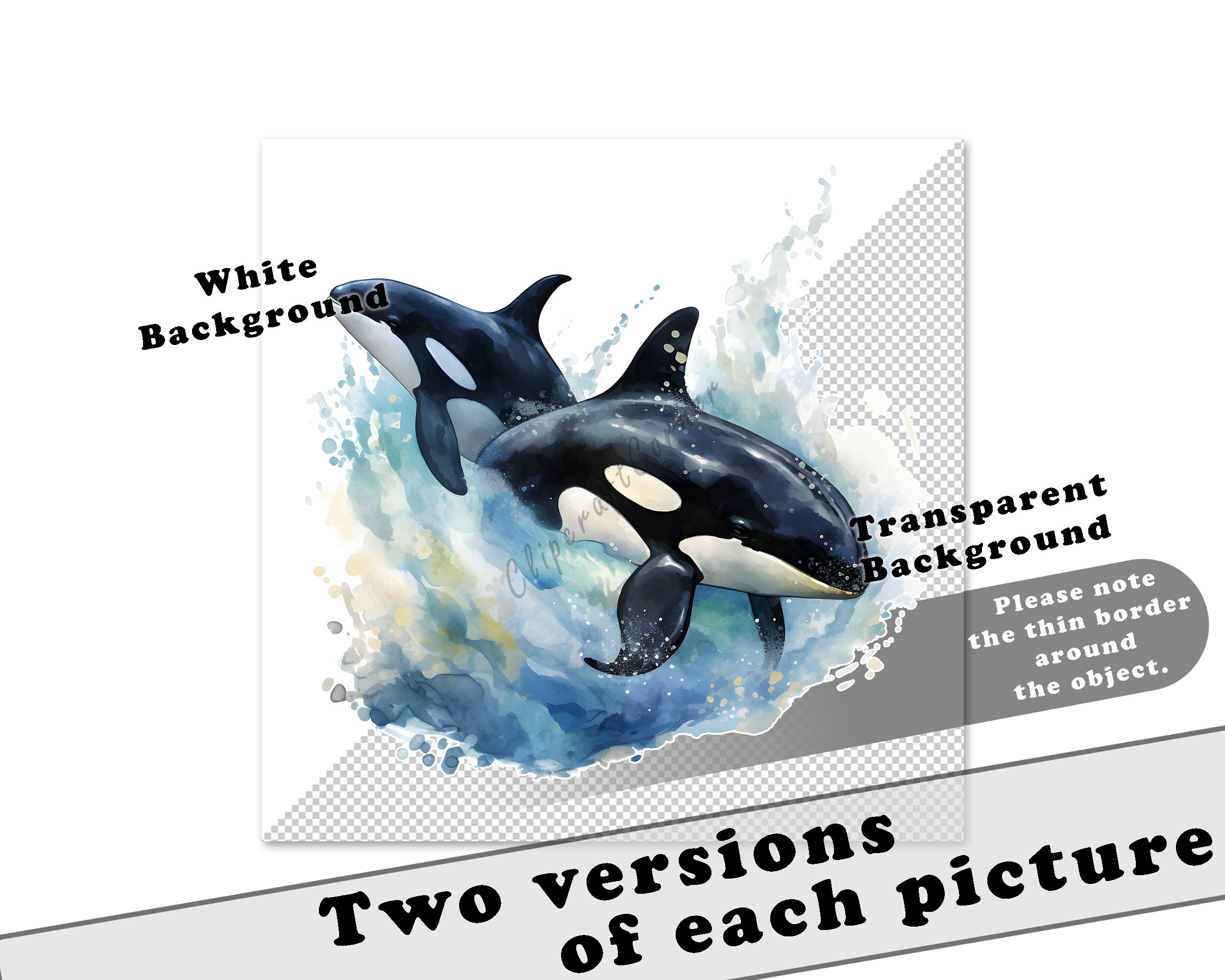 12 Orca Clipart PNG Bundle | Watercolor Sea Animals Clipart PNG | Ocean ...