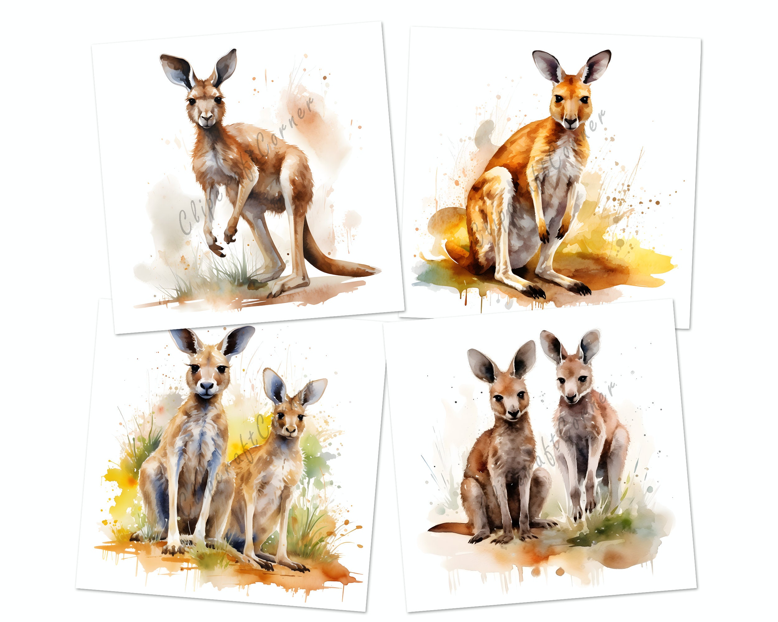 12 Kangaroo Clipart PNG Forest Animal Bundle Watercolor Kangaroo ...