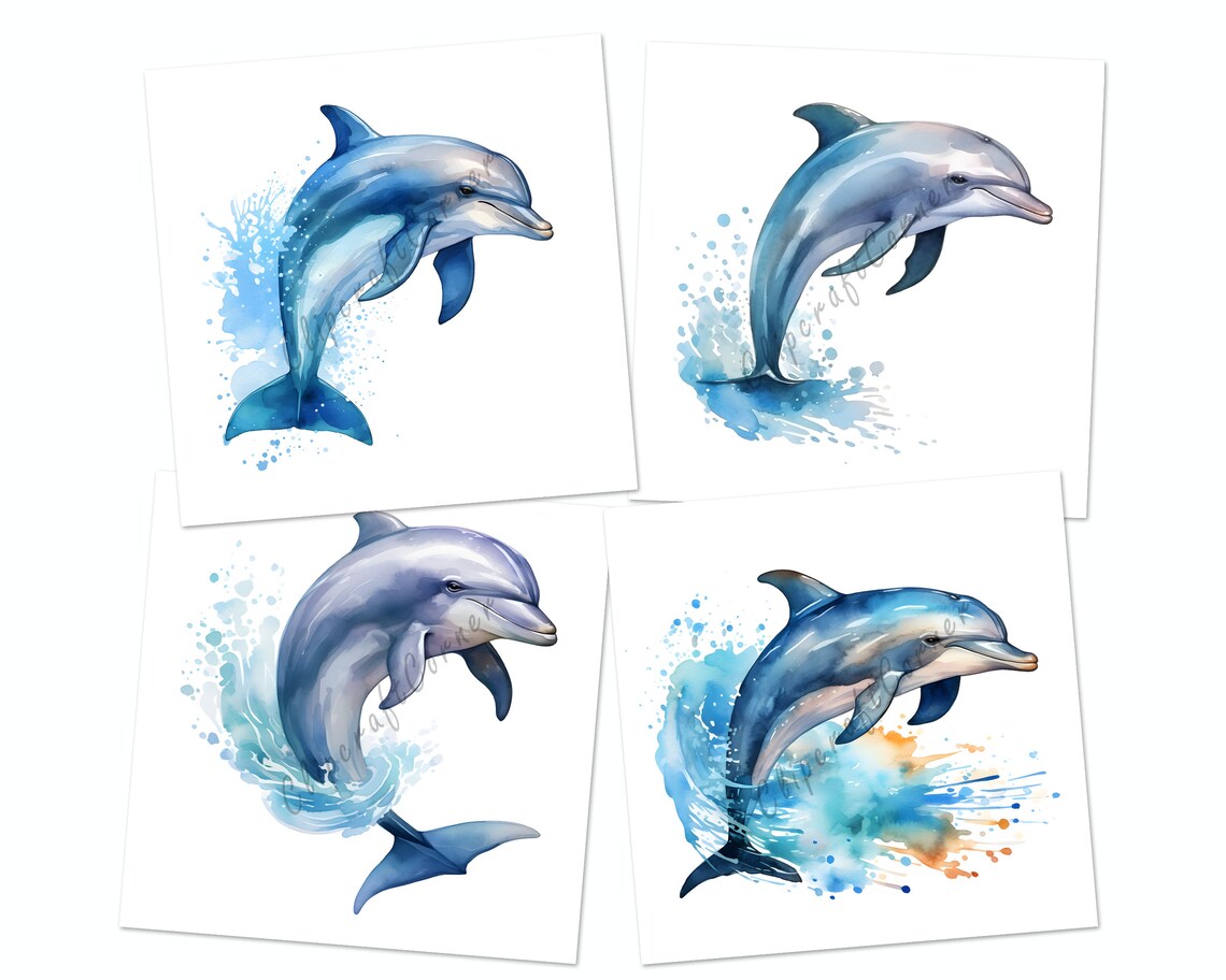 12 Dolphin Clipart PNG Bundle Watercolor Sea Animals Clipart PNG Ocean ...