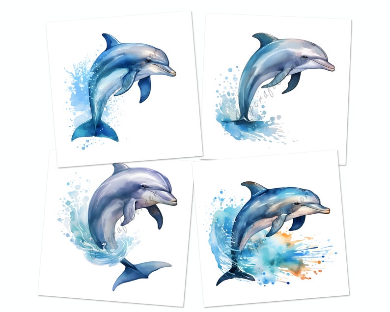 12 Dolphin Clipart PNG Bundle Watercolor Sea Animals Clipart PNG Ocean ...