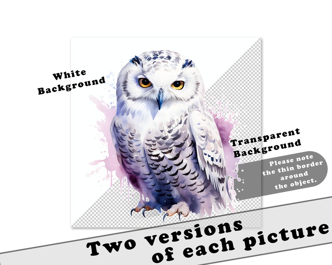 12 Snowy Owl Clipart PNG Art Bundle | Watercolor Bird Clipart PNG ...