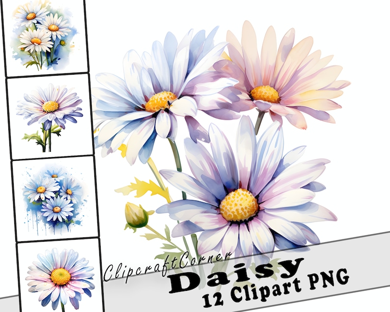 12 Daisy Clipart PNG Art Bundle Watercolor Flower Clipart PNG Artwork ...