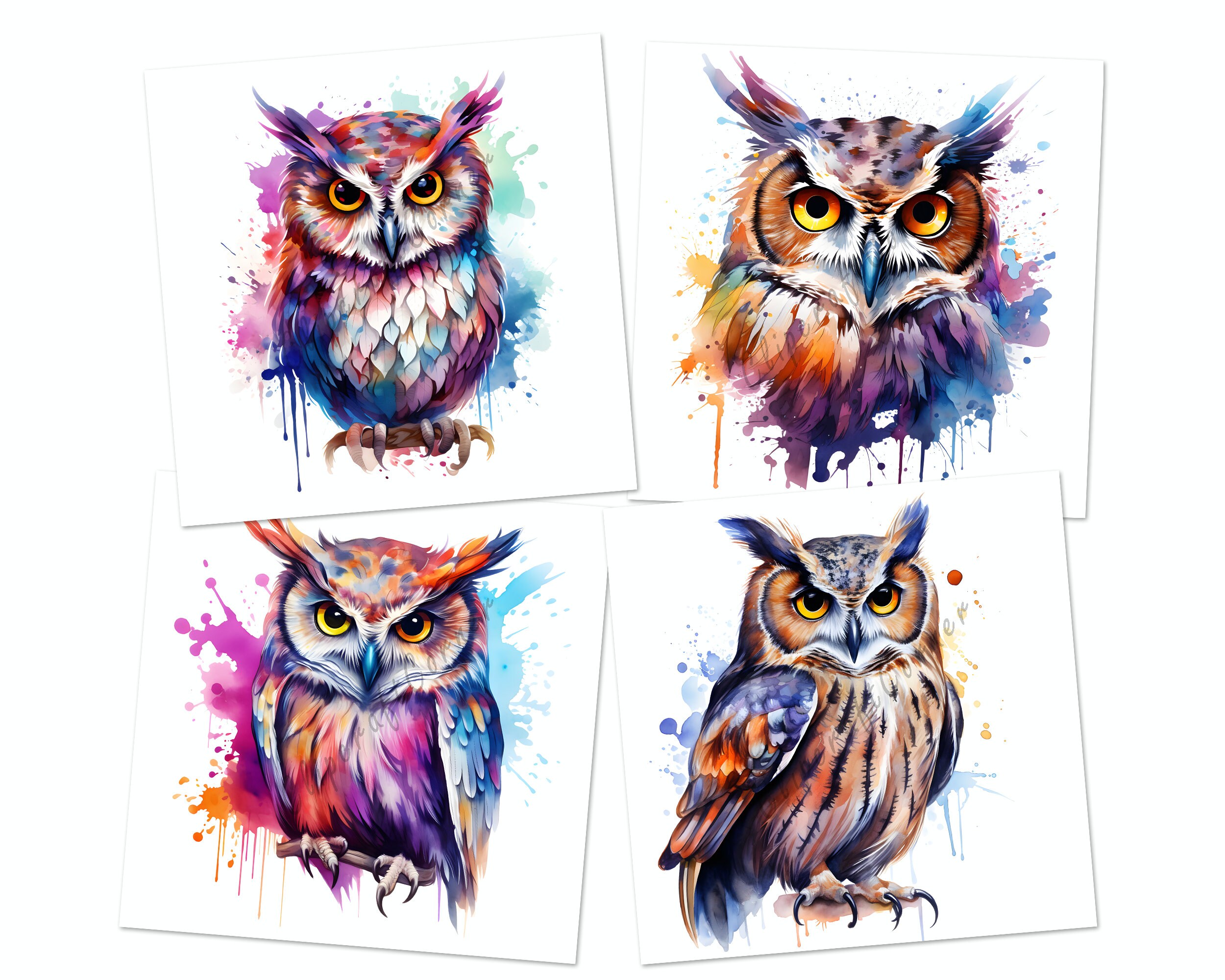 12 Owl Clipart PNG Art Bundle Watercolor Bird Clipart PNG Artwork 1003 ...