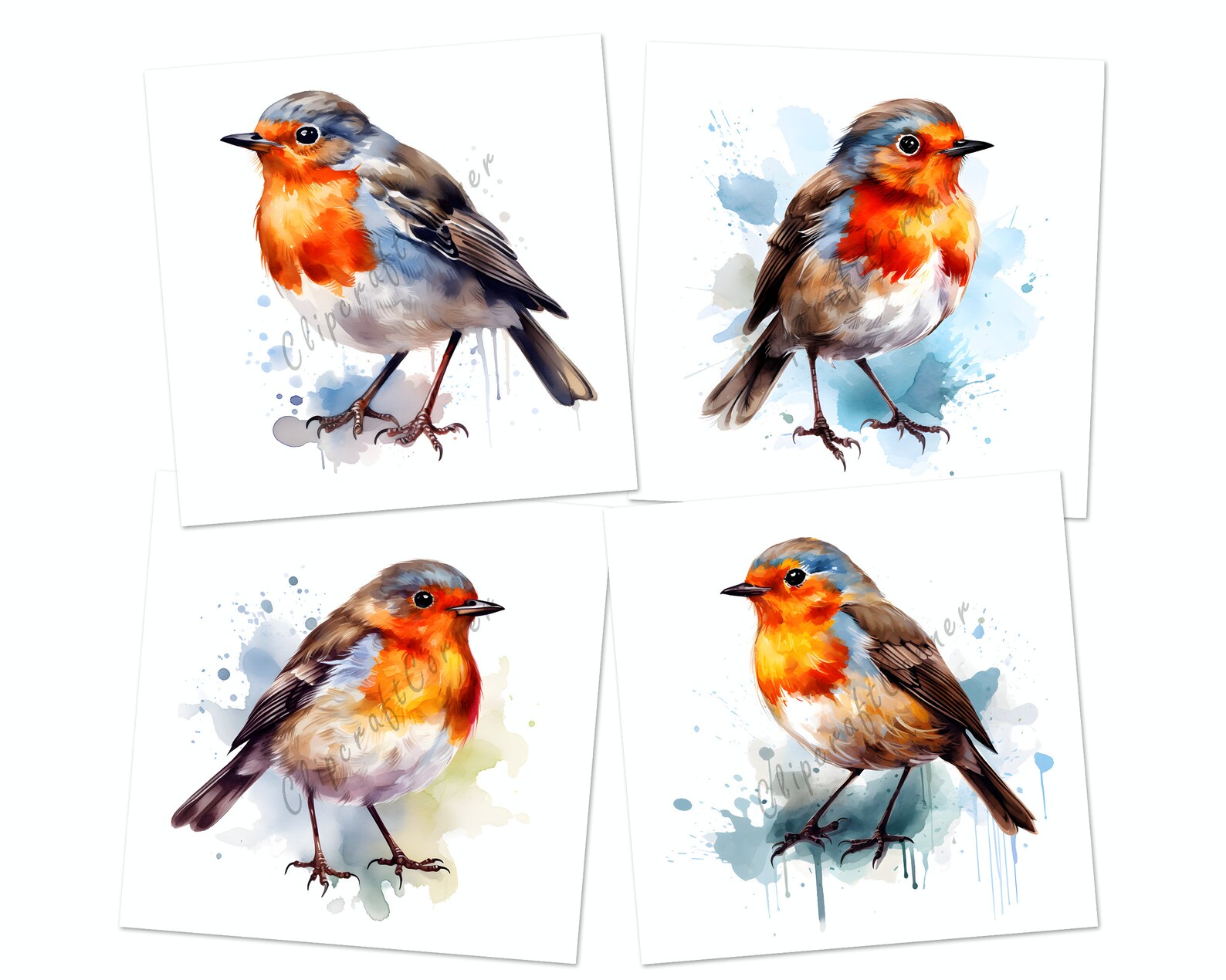 12 Robin Clipart PNG Art Bundle | Watercolor Bird Clipart PNG Artwork ...
