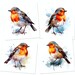 12 Robin Clipart PNG Art Bundle | Watercolor Bird Clipart PNG Artwork ...