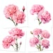 12 Pink Carnation Clipart PNG Art Bundle | Watercolor Flower Clipart ...