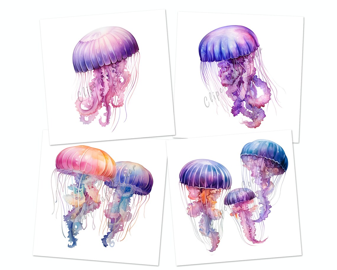 12 Jellyfish Clipart PNG Bundle Watercolor Sea Animals Clipart PNG ...
