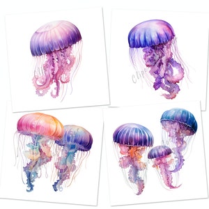 12 Jellyfish Clipart PNG Bundle | Watercolor Sea Animals Clipart PNG ...