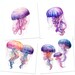 12 Jellyfish Clipart PNG Bundle Watercolor Sea Animals Clipart PNG ...