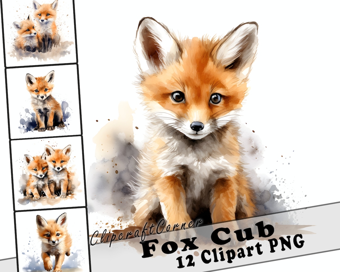 12 Baby Fox Clipart PNG Forest Animal Bundle | Watercolor Fox Cub ...