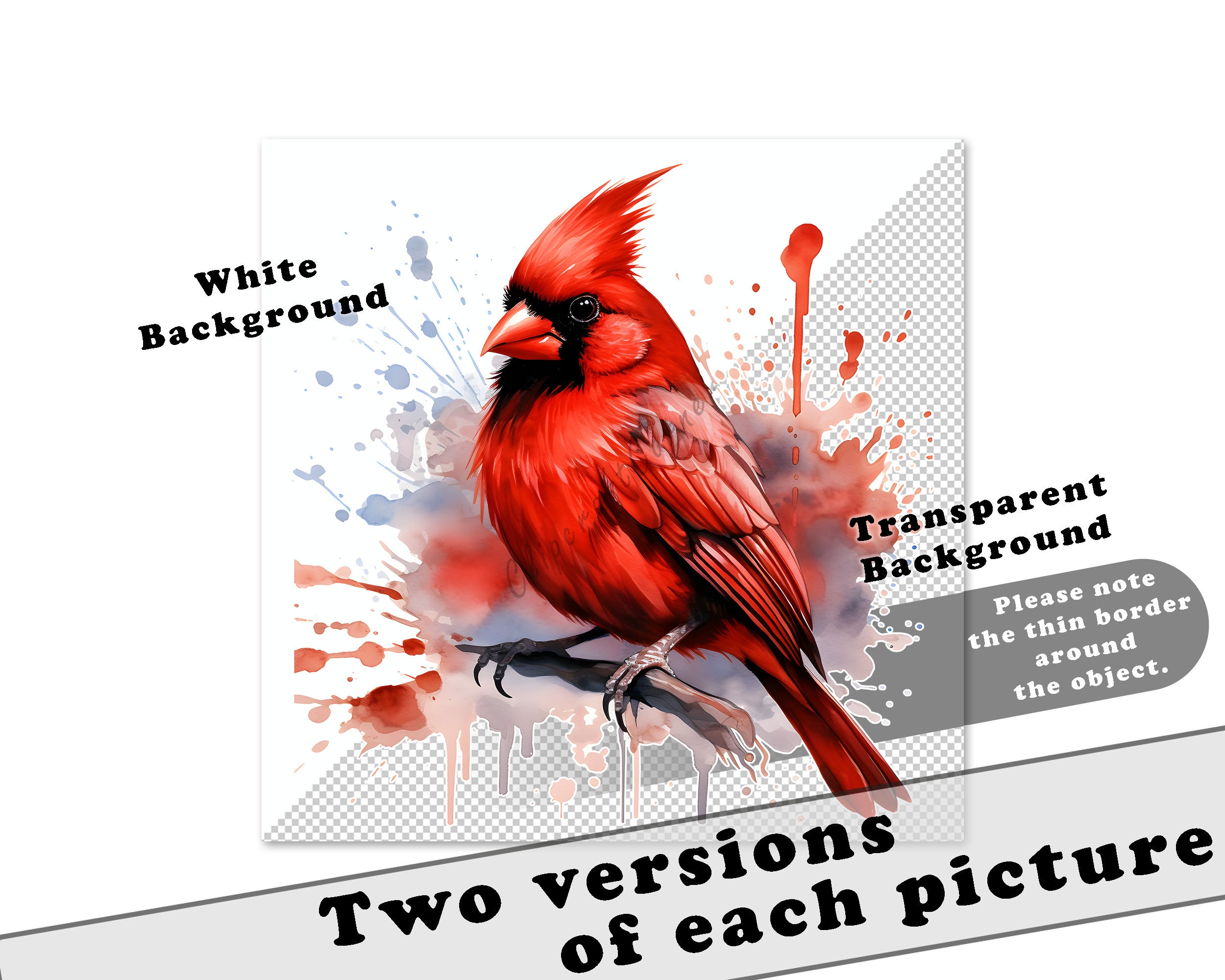 12 Red Cardinal Clipart PNG Art Bundle | Watercolor Bird Clipart PNG ...