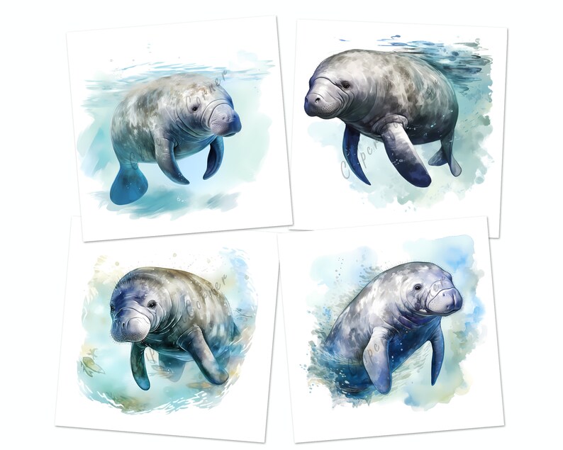 12 Manatee Clipart PNG Bundle | Watercolor Sea Animals Clipart PNG ...