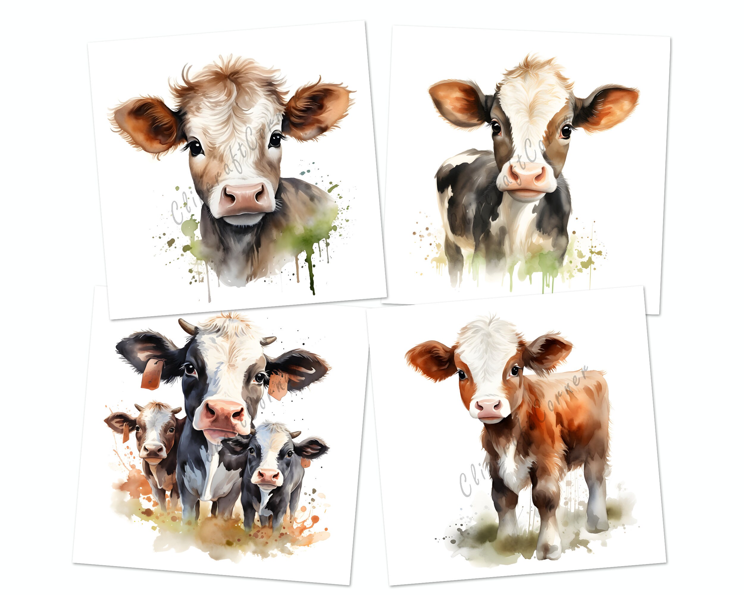 12 Calf Clipart PNG Bundle | Watercolor Cow Clipart PNG | Farm Animal ...