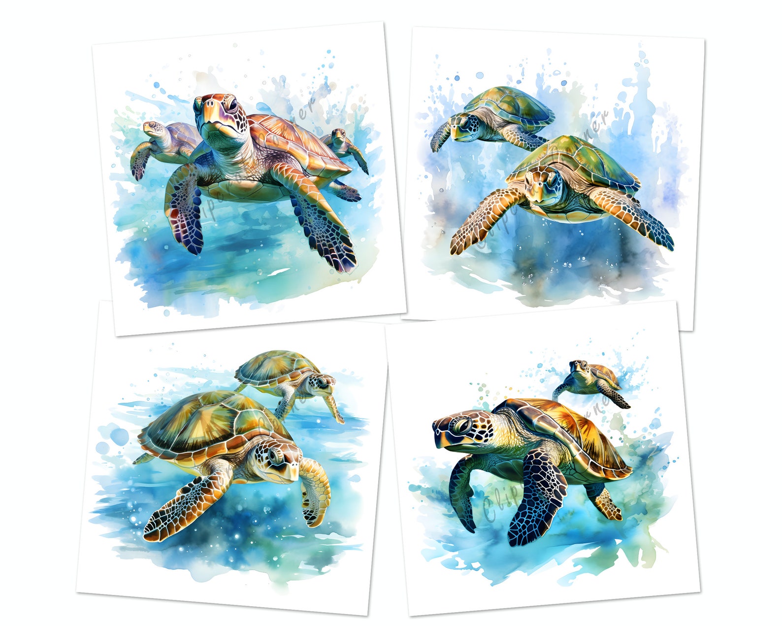 12 Sea Turtle Clipart PNG Bundle | Watercolor Sea Animals Clipart PNG ...