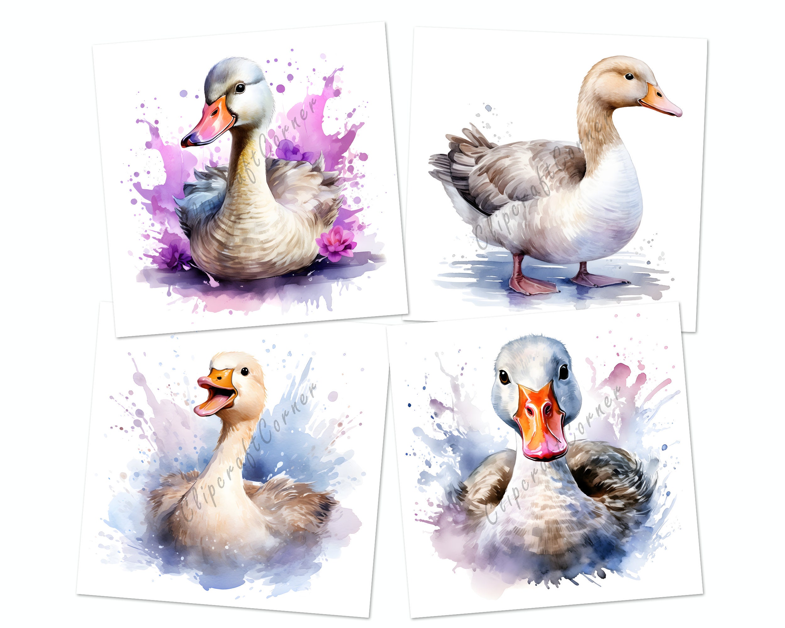 12 Goose Clipart PNG Bundle | Watercolor Goose Clipart PNG | Farm ...