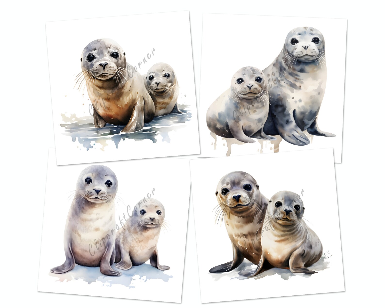 12 Seal Clipart PNG Bundle | Watercolor Sea Animals Clipart PNG | Ocean ...