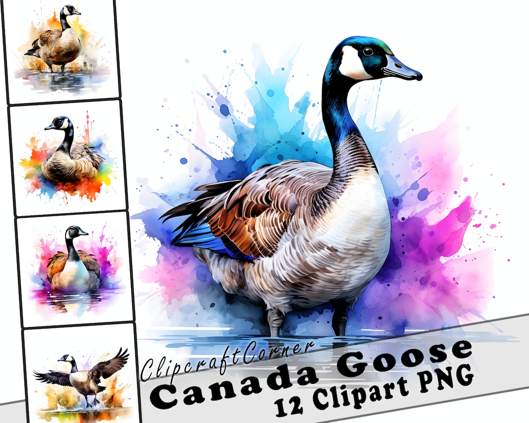 12 Canada Goose Clipart PNG Art Bundle | Watercolor Bird Clipart PNG ...