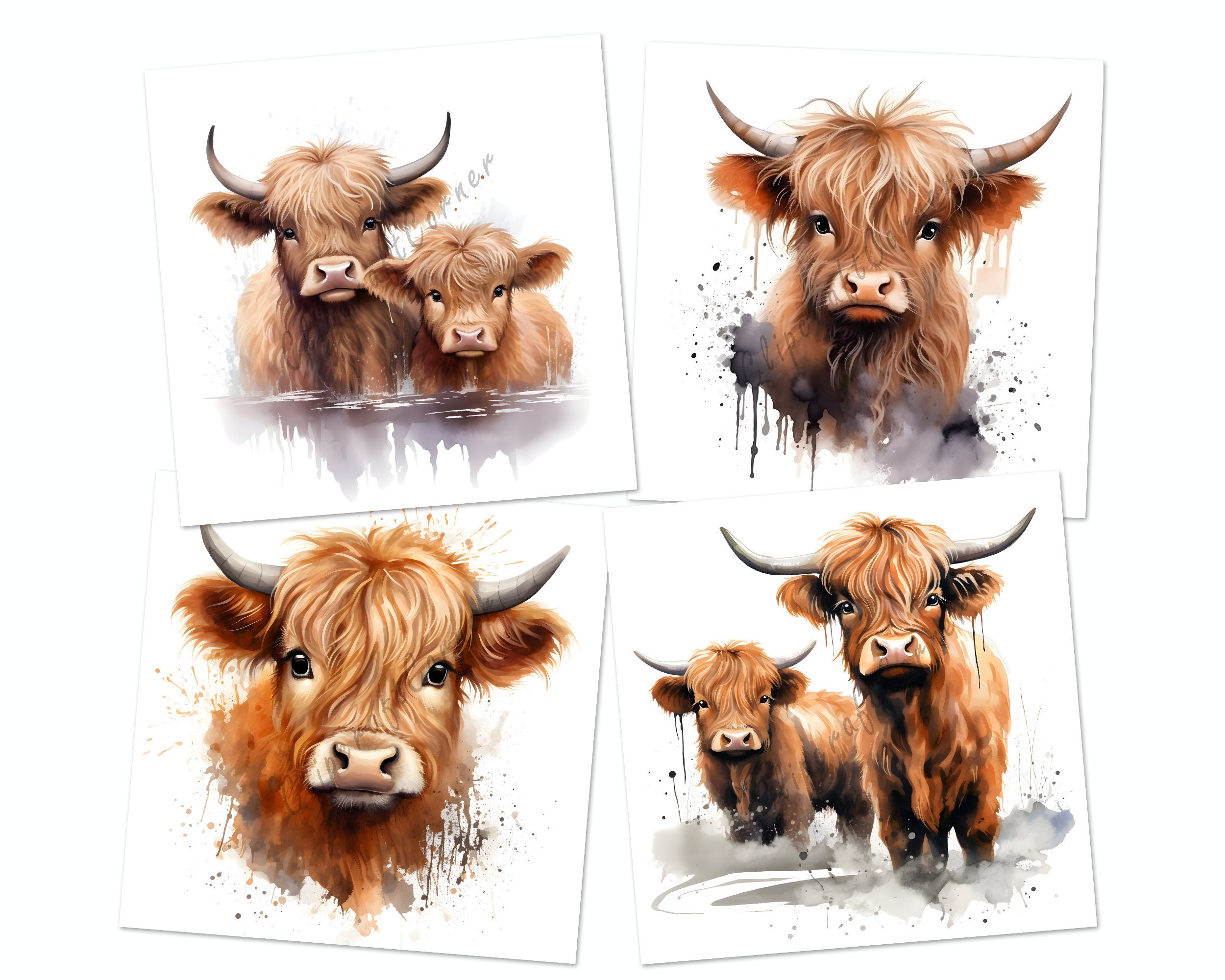 12 Highland Calf Clipart PNG Bundle | Watercolor Highland Cow Clipart ...