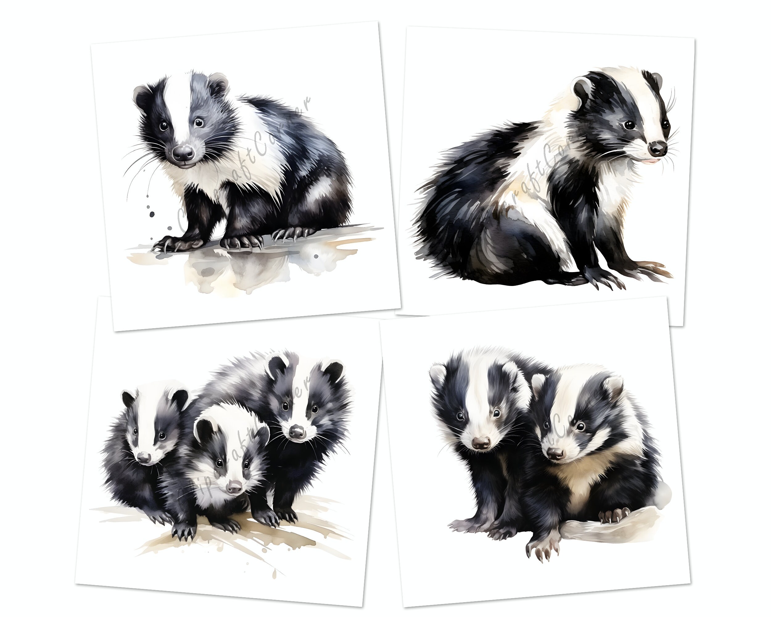 12 Skunk Clipart PNG Forest Animal Bundle | Watercolor Skunk Clipart ...