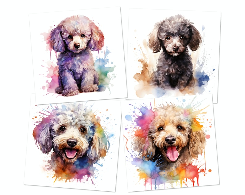 17 Poodle Clipart PNG Bundle Watercolor Dog Clipart PNG 26 - Etsy