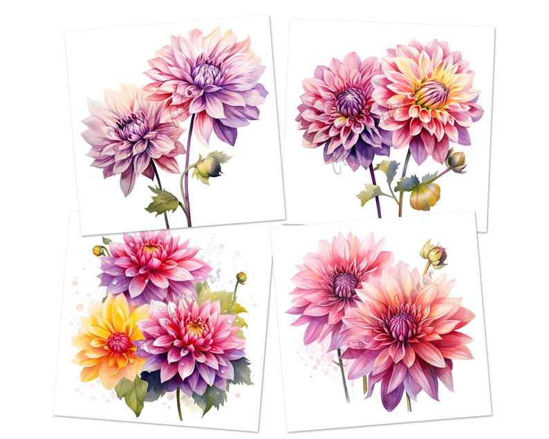 12 Dahlia Clipart PNG Art Bundle | Watercolor Flower Clipart PNG ...