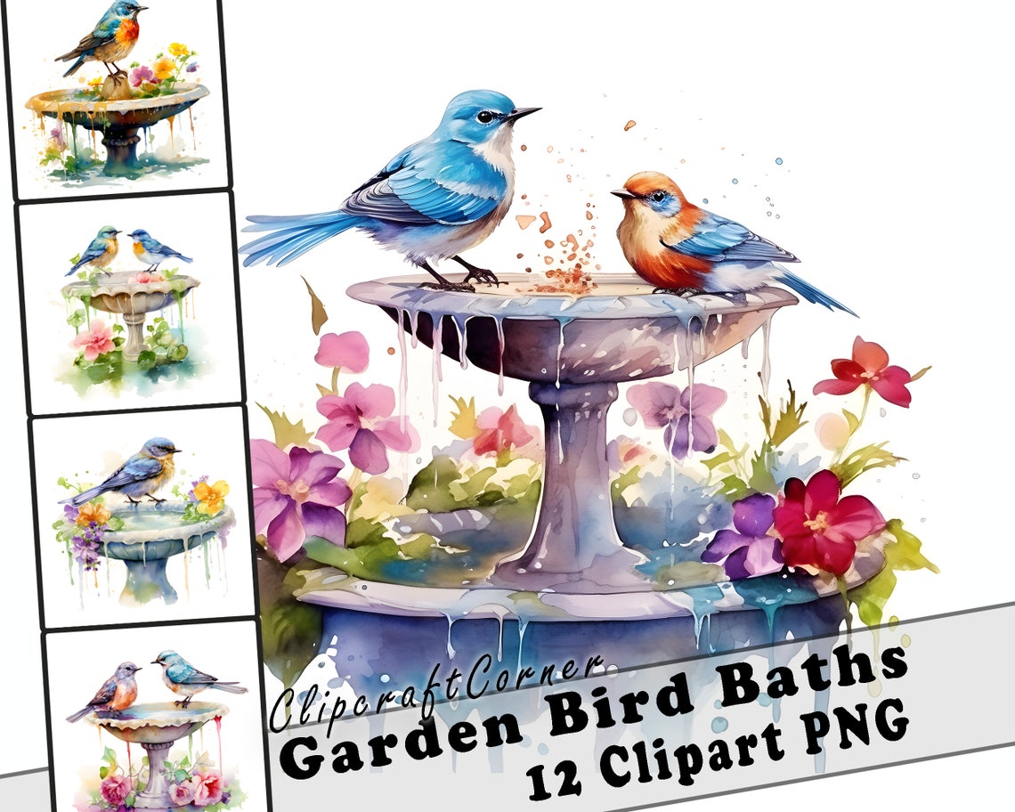 12 Garden Bird Bath Clipart PNG Bundle | Watercolor Bird Bath Clipart ...