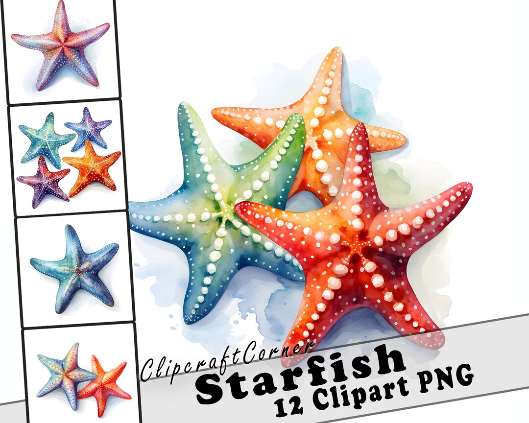 12 Starfish Clipart PNG Bundle | Watercolor Sea Animals Clipart PNG ...