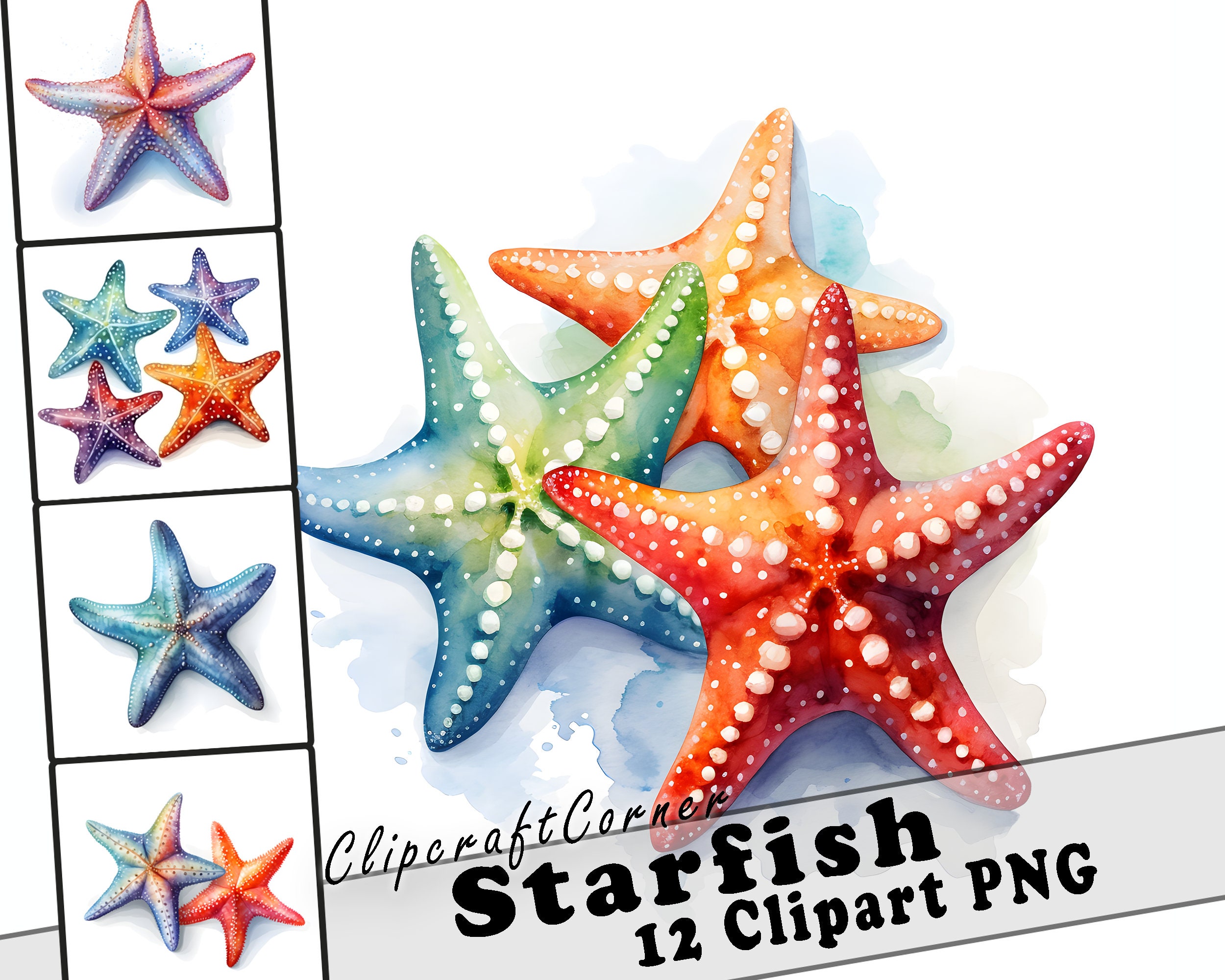 12 Starfish Clipart PNG Bundle | Watercolor Sea Animals Clipart PNG ...