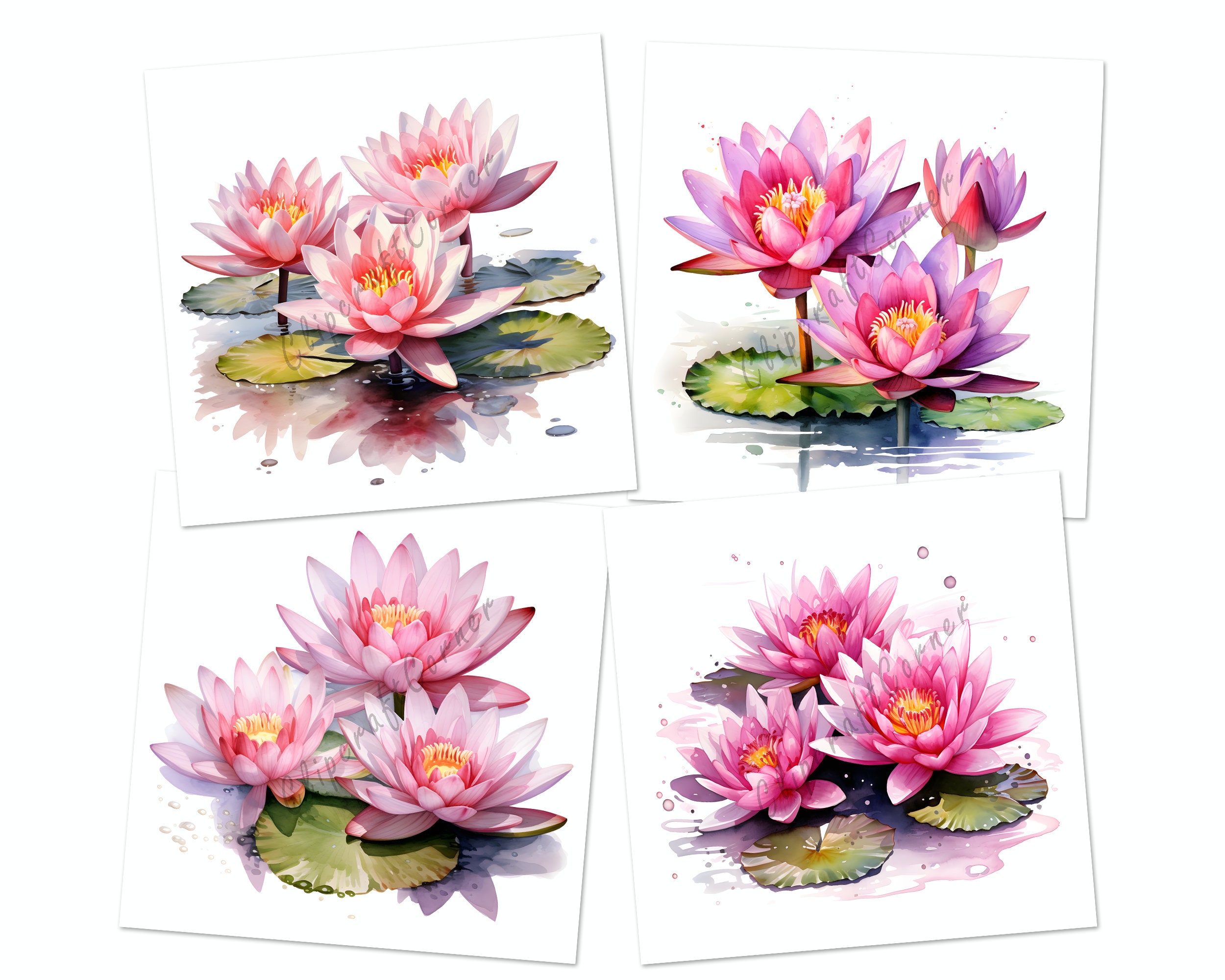 12 Pink Water Lily Clipart PNG Art Bundle | Watercolor Flower Clipart ...