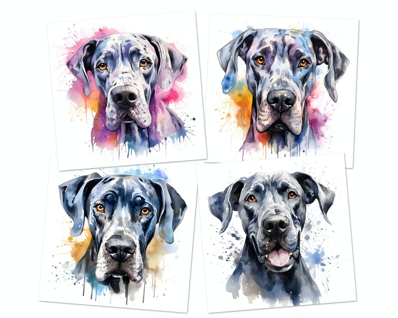16 Great Dane Clipart PNG Bundle | Watercolor Dog Clipart PNG | 31 - Etsy