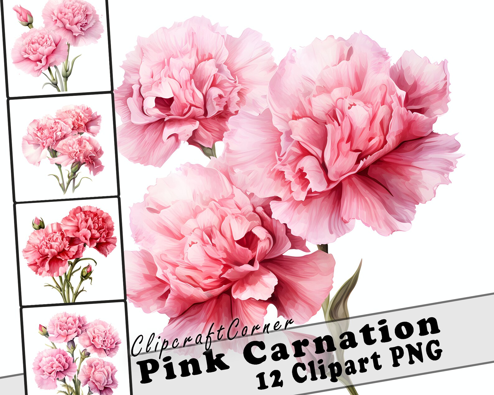 12 Pink Carnation Clipart PNG Art Bundle | Watercolor Flower Clipart ...
