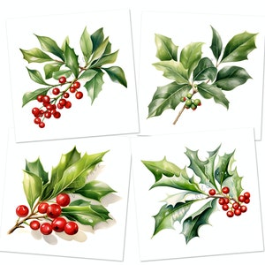 12 Mistletoe Clipart PNG Art Bundle | Watercolor Flower Clipart PNG ...