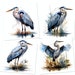12 Great Blue Heron Clipart PNG Art Bundle | Watercolor Bird Clipart ...