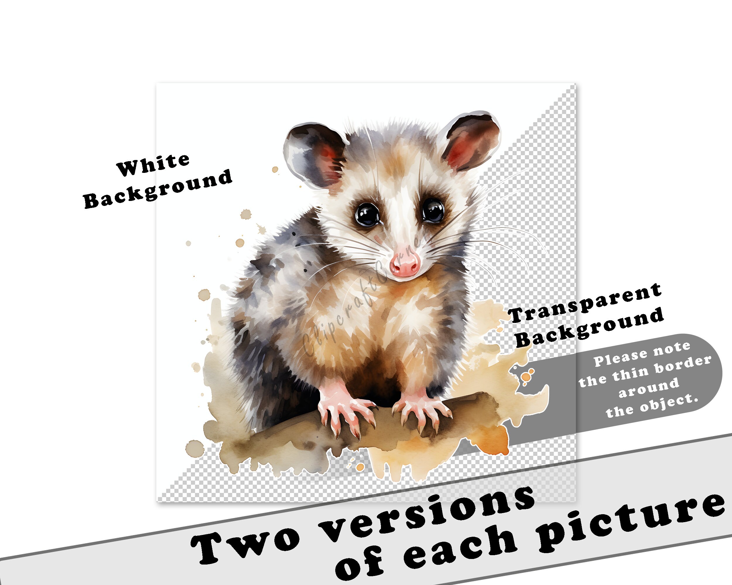 12 Possum Clipart PNG Forest Animal Bundle | Watercolor Possum Clipart ...