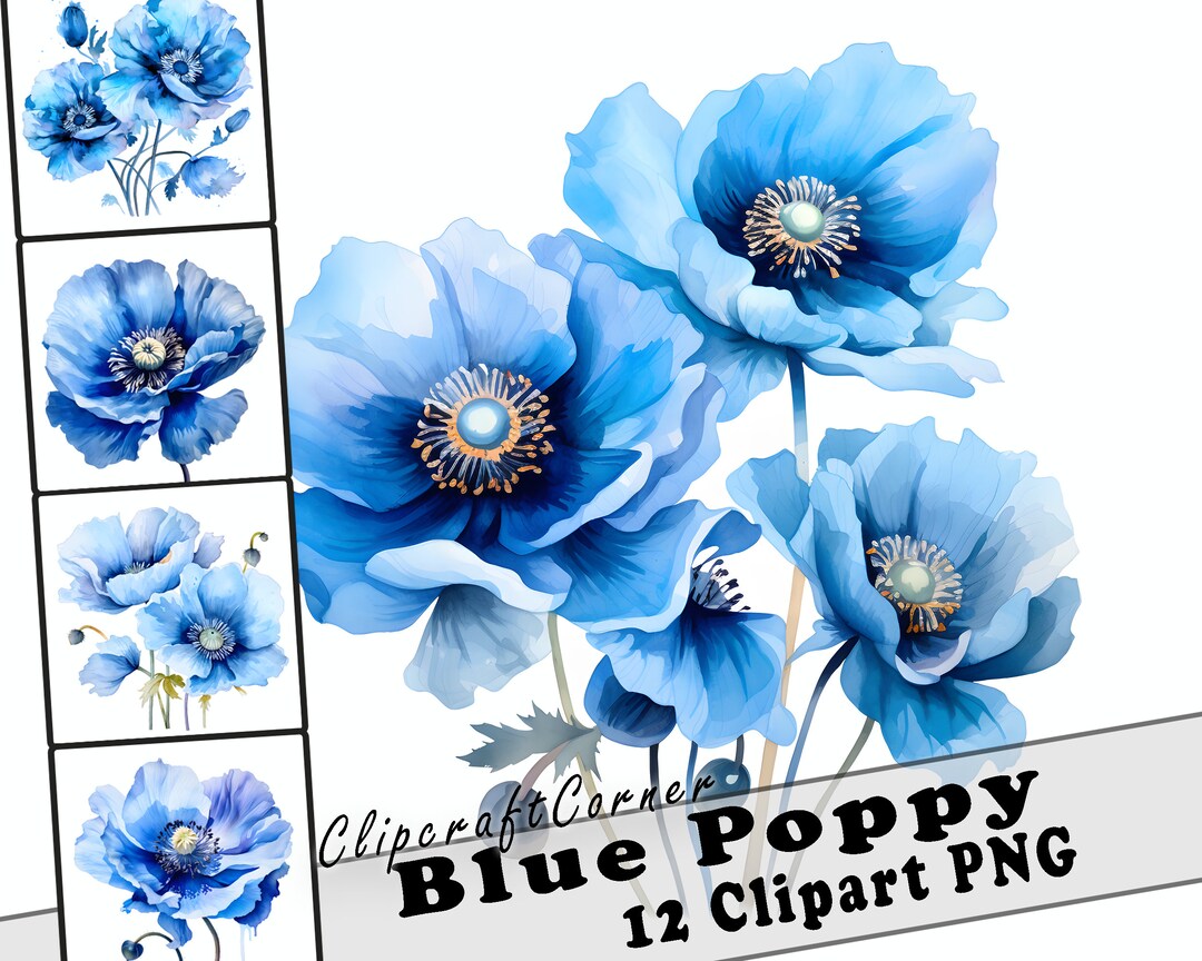 12 Blue Poppy Clipart PNG Art Bundle | Watercolor Flower Clipart PNG ...
