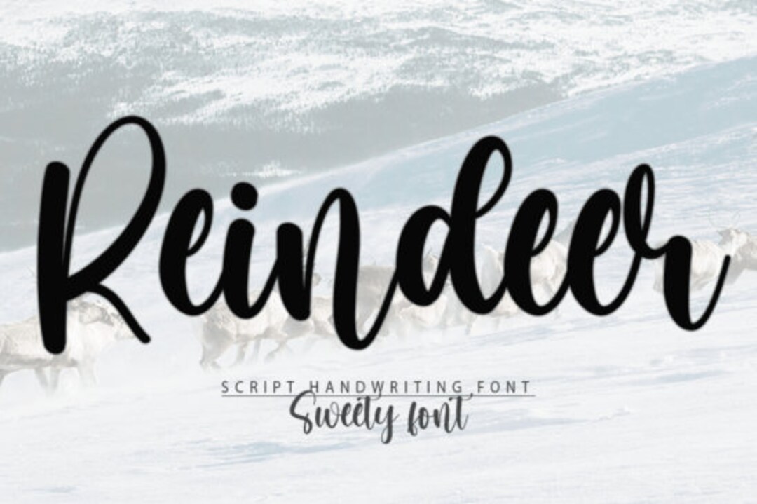 Reindeer Font, Display Font, Calligraphy Font, Handwritten Font, Retro ...
