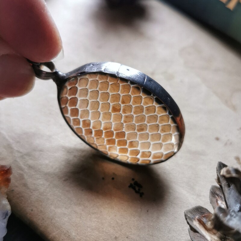 Snake Skin Jewelry - Etsy