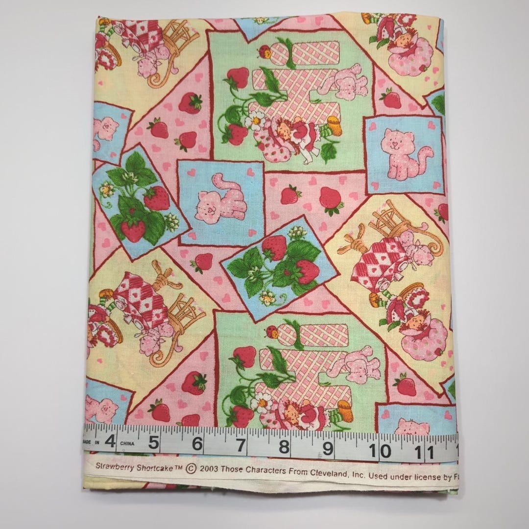 Vintage 2003 Strawberry Shortcake & Custard the Cat 35"x44" "hi" Cotton ...