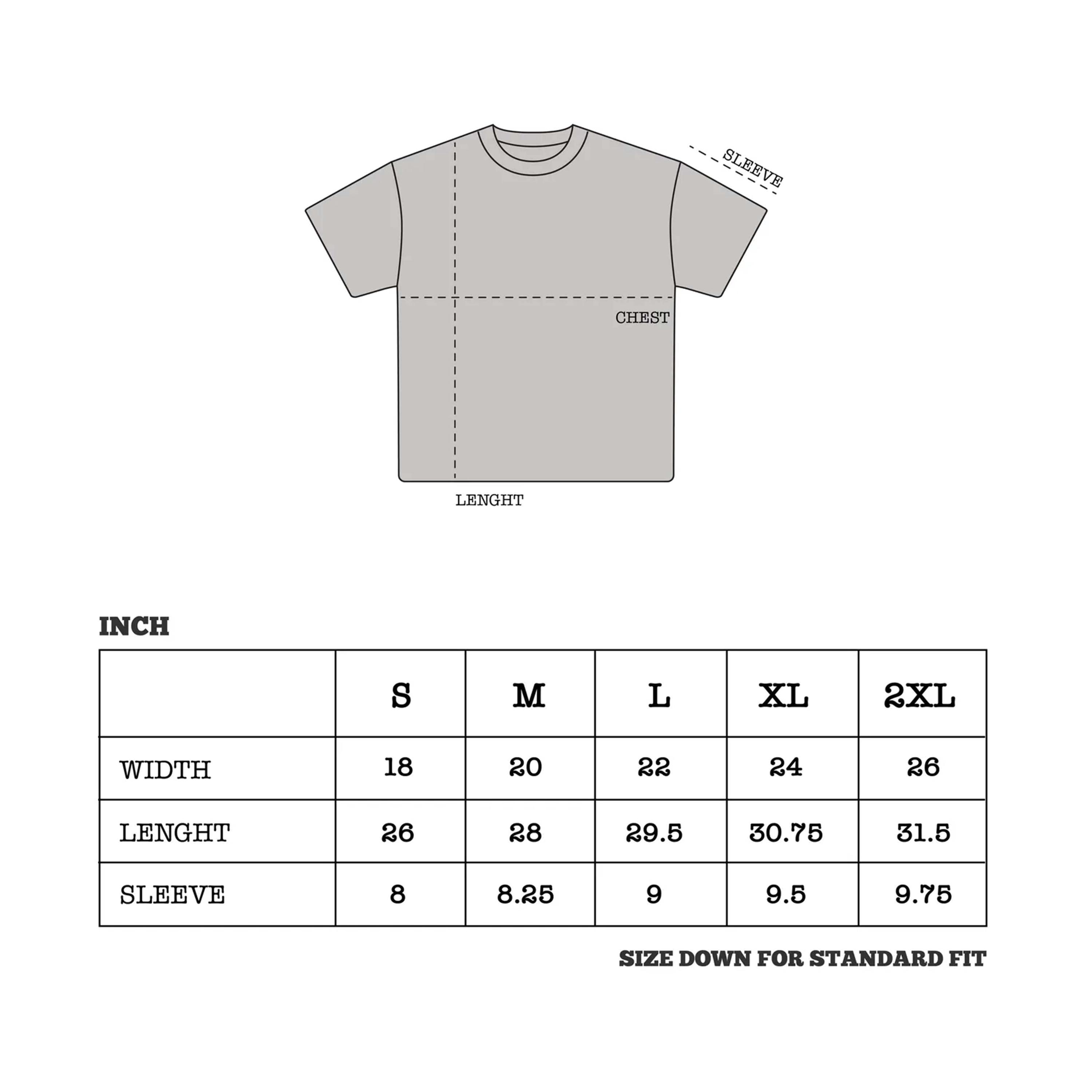 Chris Brown Middle Finger Tee Chris Brown Breezy Bowl XX Tour 2025 ...