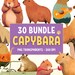 30 Bundle Capybara Clipart | High Quality Transparent Pngs| Instant ...