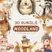 Woodland Animals Watercolor Bundle Clipart, Cute Forest Animals PNG ...