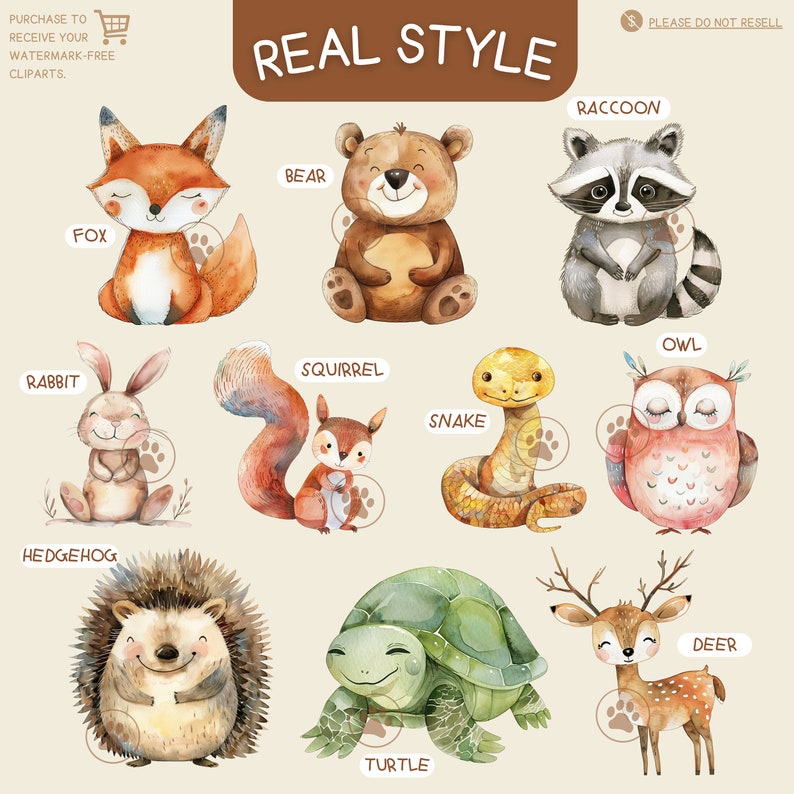 Woodland Animals Watercolor Bundle Clipart, Cute Forest Animals PNG ...