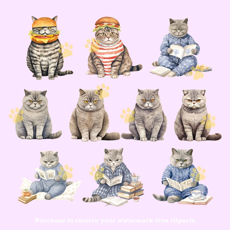 30 Bundle British Shorthair Clipart | Cute Cats | Puppy | Animal | Cats ...